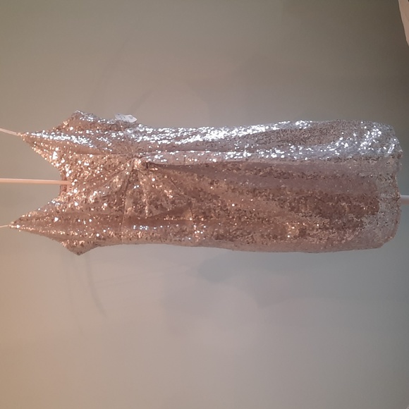 Axara Paris | Dresses | Nwt Axara Paris Silver Coloured Sequined ...